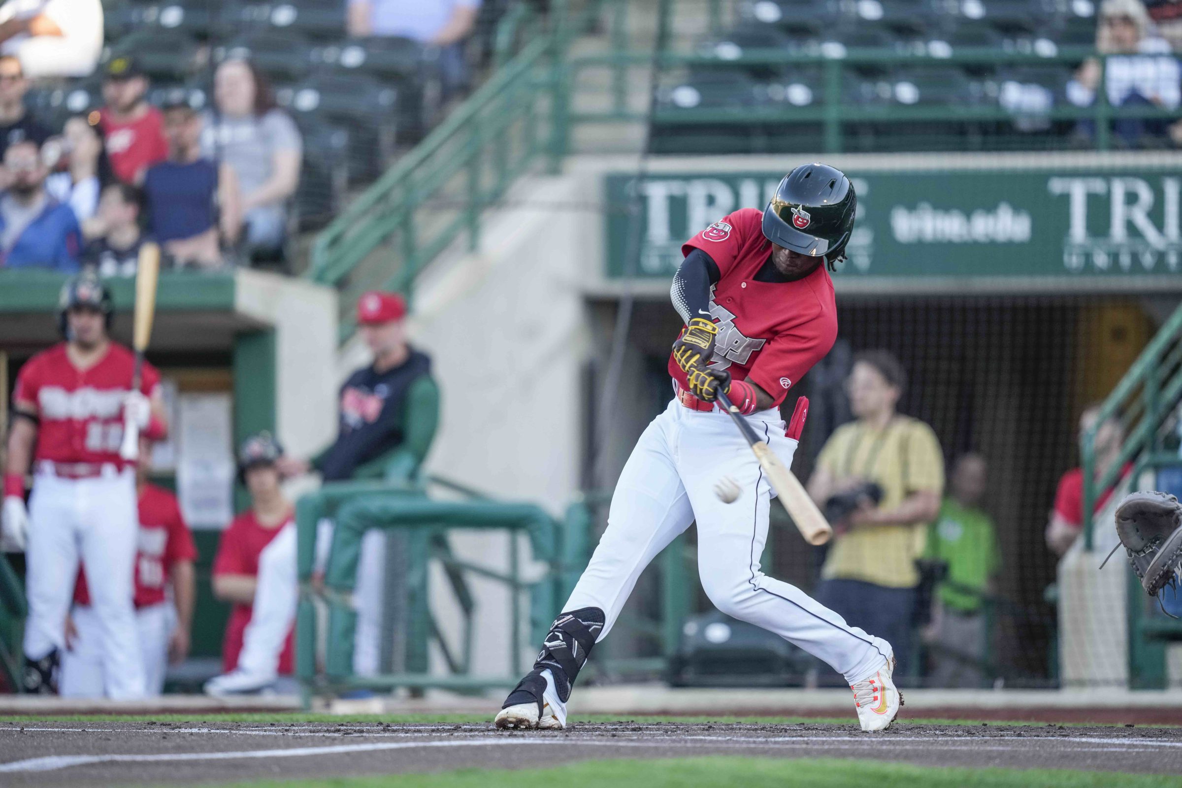 San Diego Padres Daily Farm Report: August 16 - MadFriars