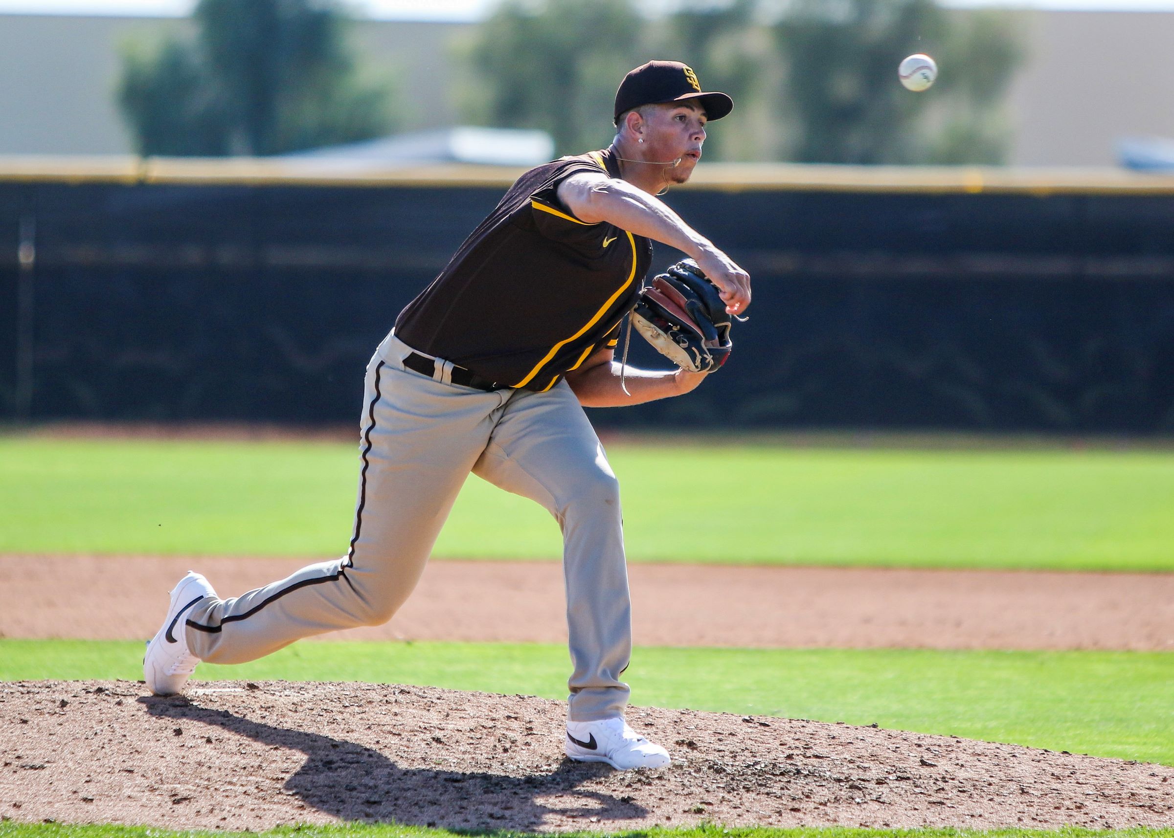 Spring Training Backfield Notes: March 17 - MadFriars