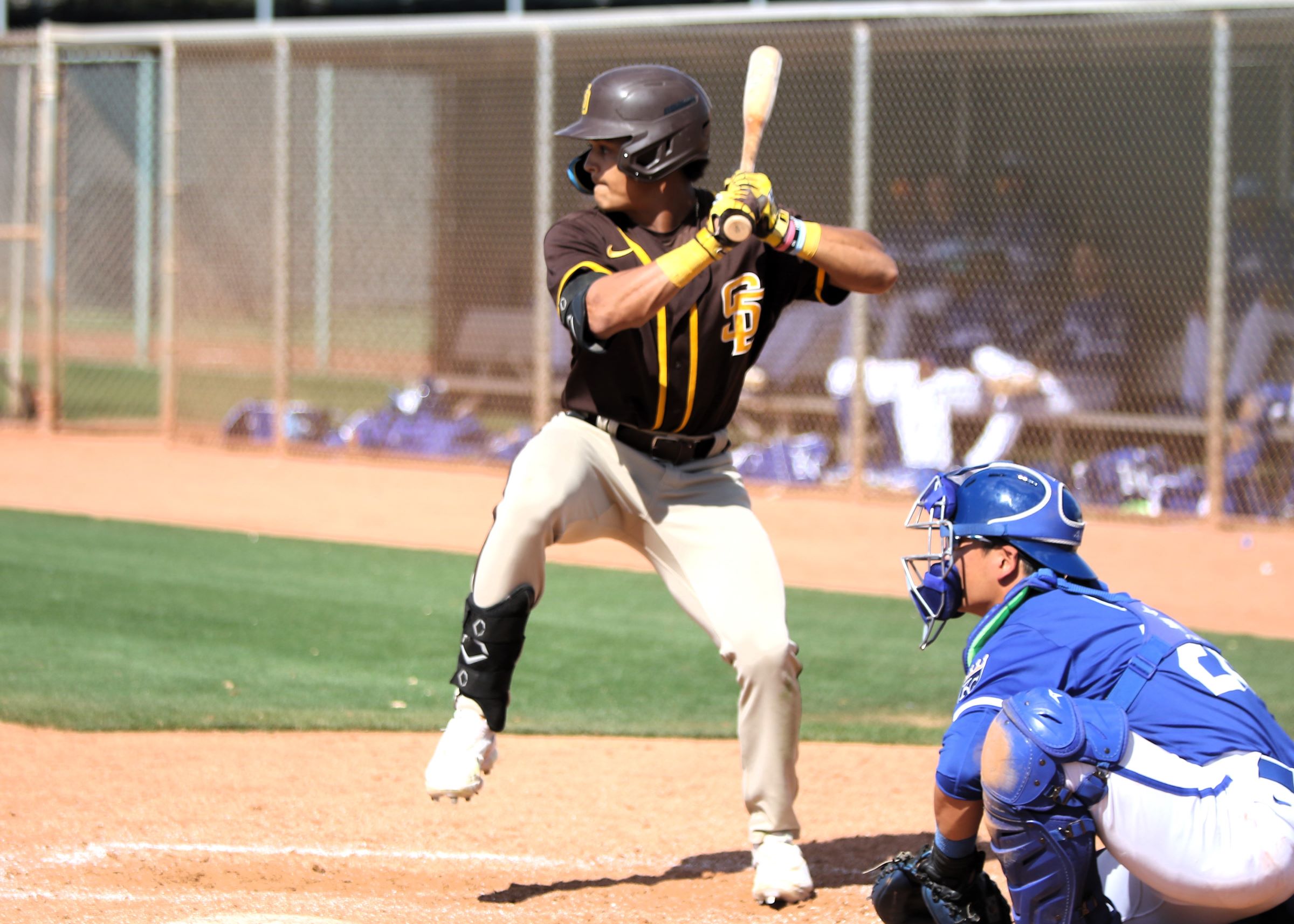 Season Preview: ACL Padres - MadFriars