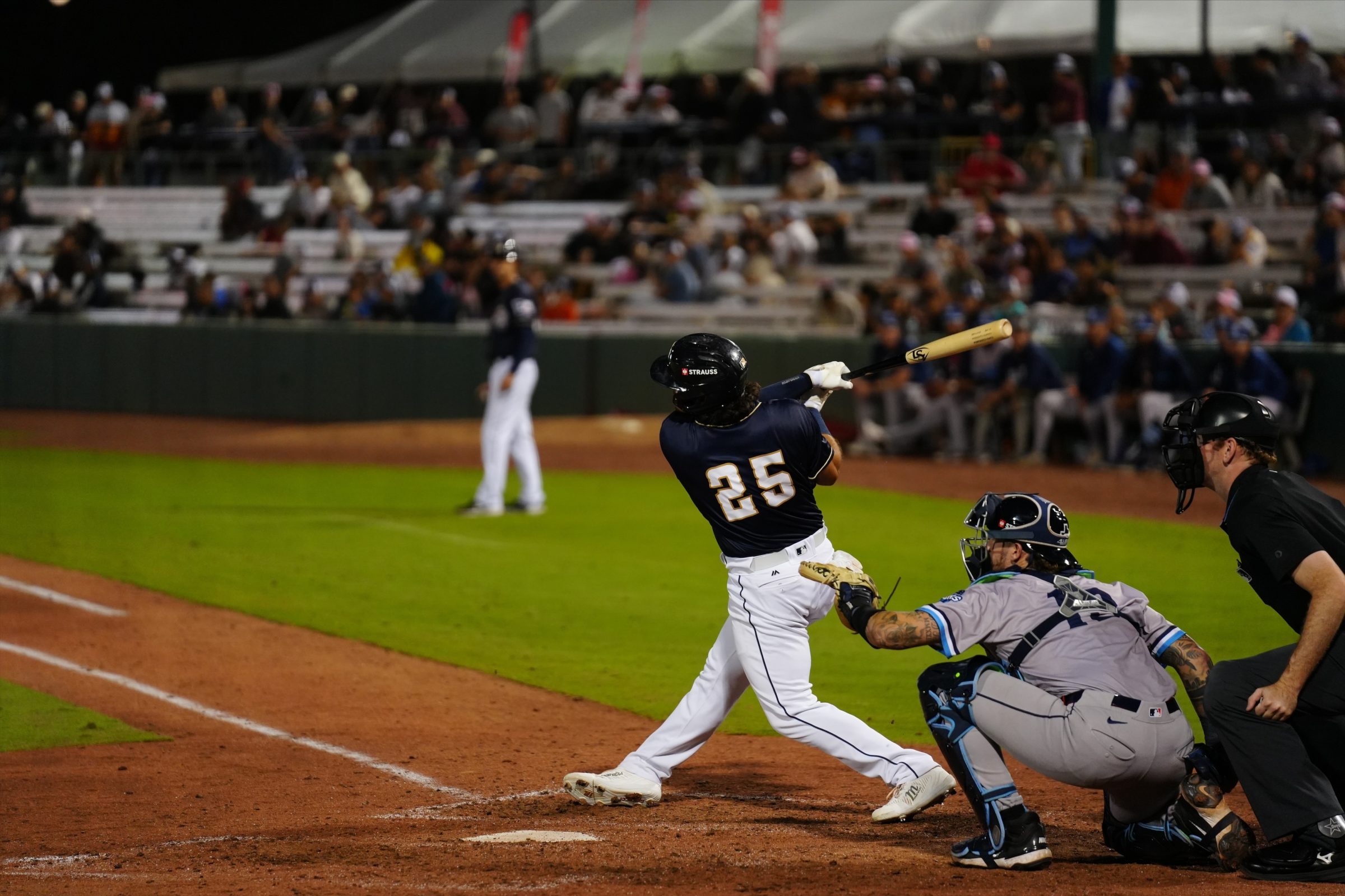 San Diego Padres Daily Farm Report: April 11 - MadFriars